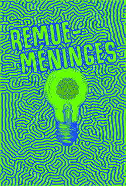 Remue-Méninges | Un singe en hiver